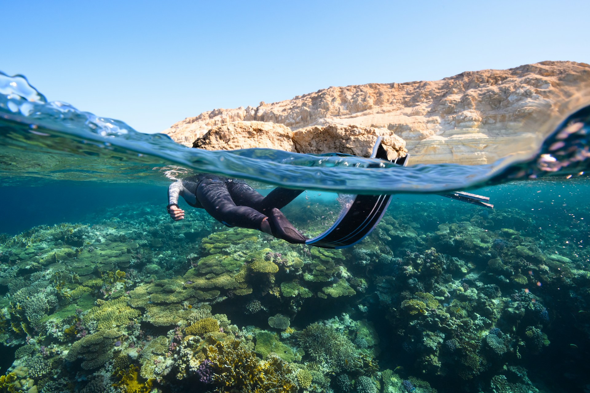 Kenapa Freediver dan Diver Pemula Harus Pakai Fins yang Tepat? - Inifins